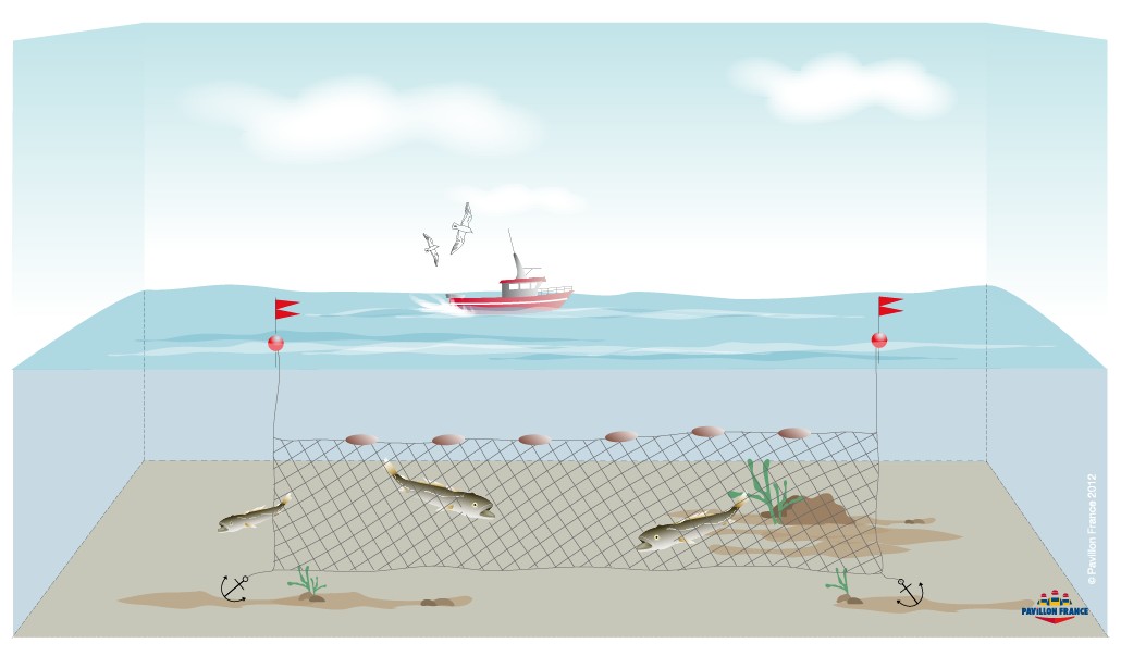 Les métiers du filet – Méditerranée Sauvage